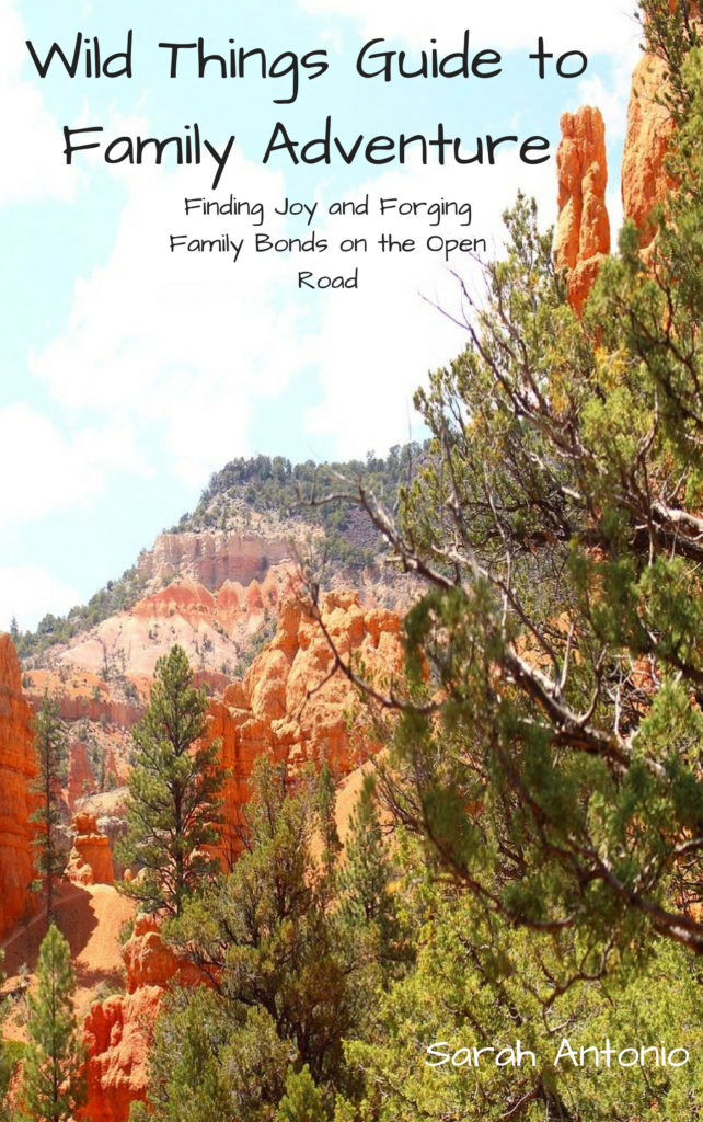 Guide to Family Adventure - Traveling with Wild Things - Wild Things ...
